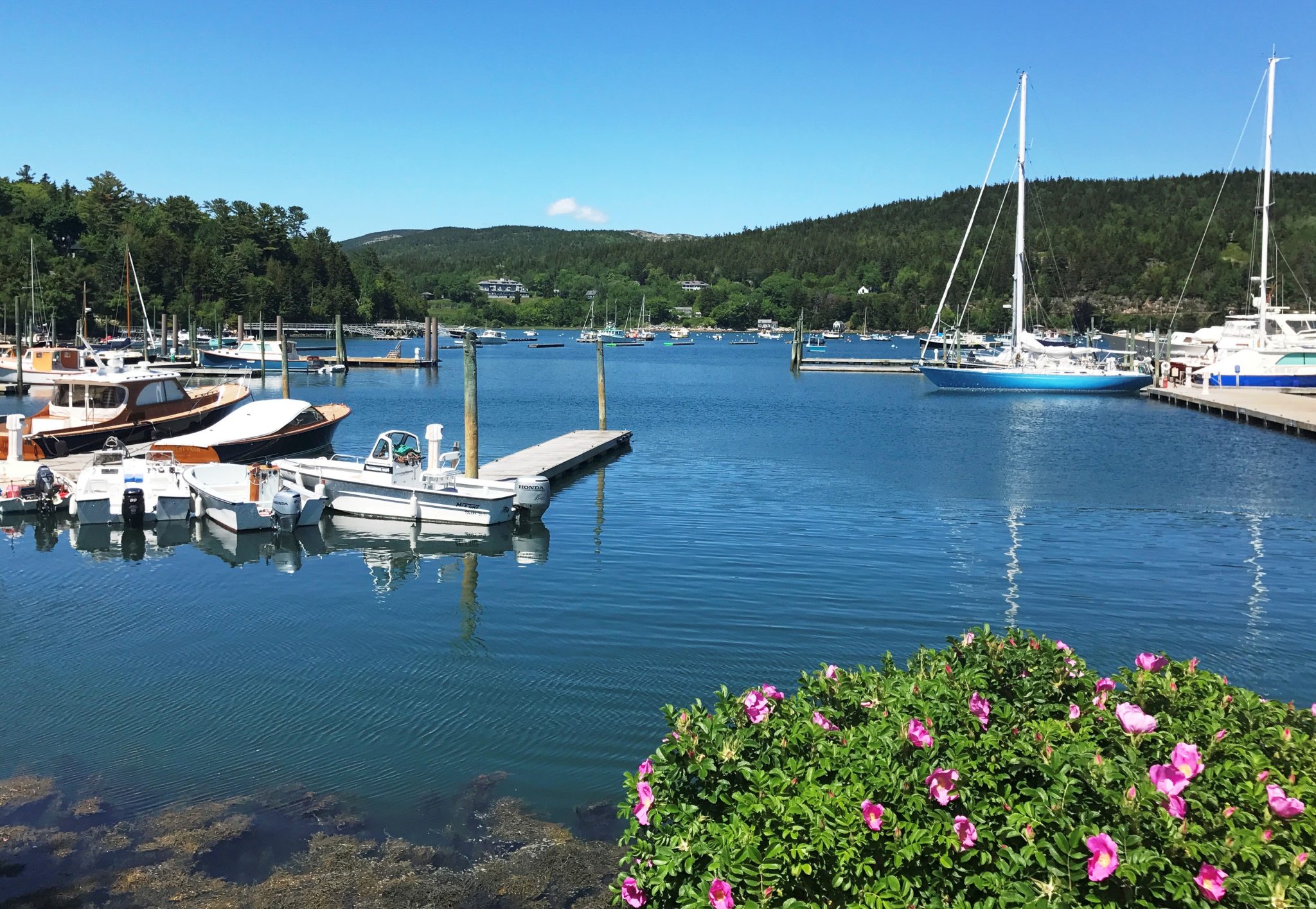 Google Can Assert a DMCA 512(d) Defense-Cengage v. Google (Catch-Up ...